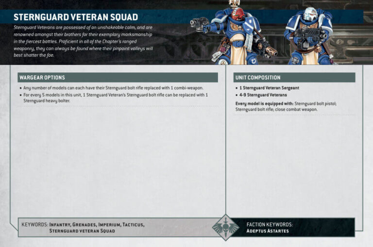 Sternguard Veteran Squad W40k Box Set - Features, Models, and Offers!