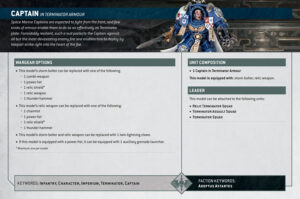 Warhammer 40K Captain in Terminator Armour