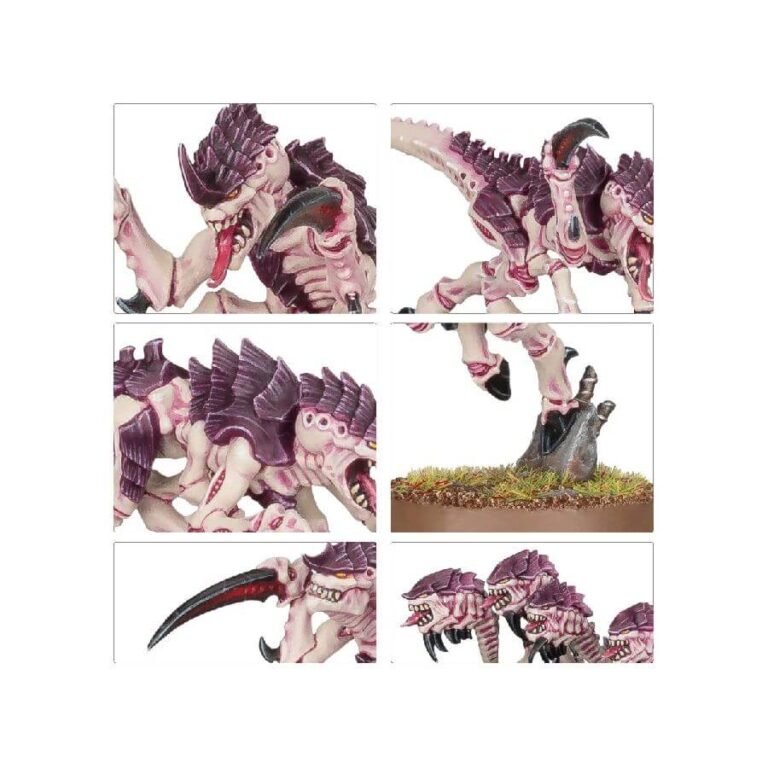 Onslaught Swarm W40k Box Set - Features, Models, and Offers!