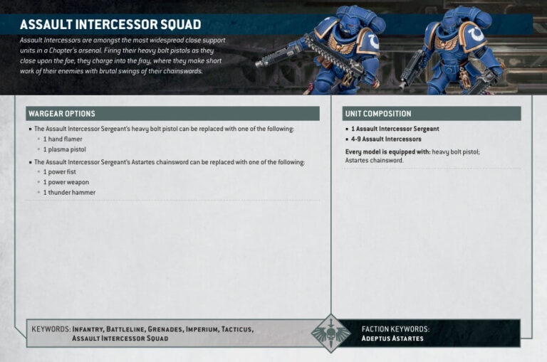 Assault Intercessors - Where to Buy, Size and Paint Guide!