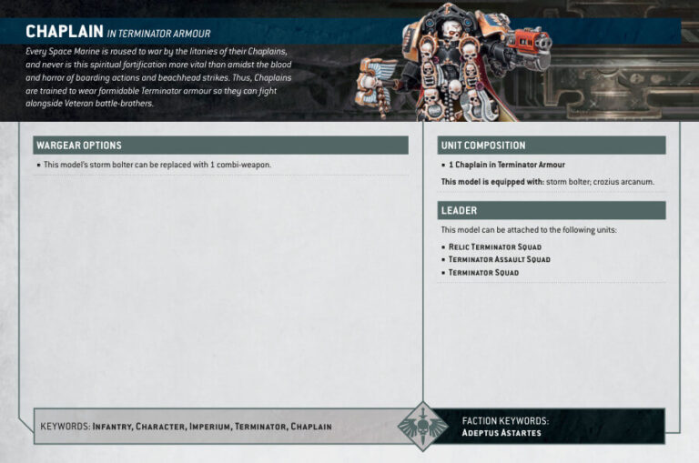 Warhammer 40K Chaplain in Terminator Armor